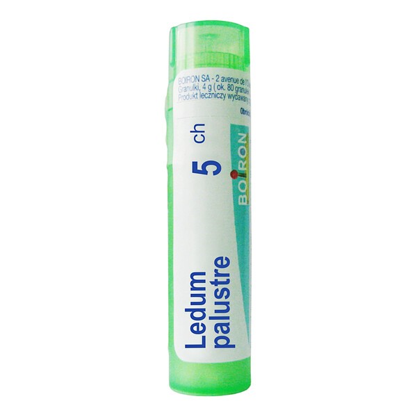 Boiron Ledum palustre, 5CH, granulki, 4 g